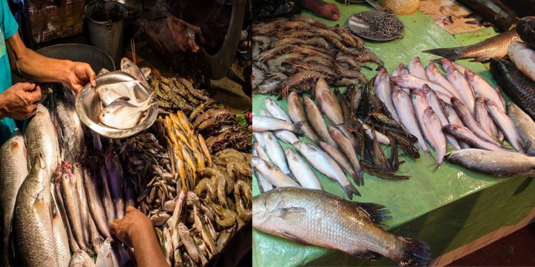 Bengalis at a Fish Market!